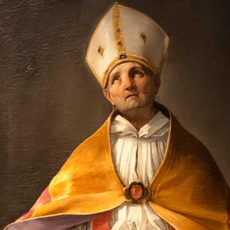 Welcome | Our Lady of Mercy
